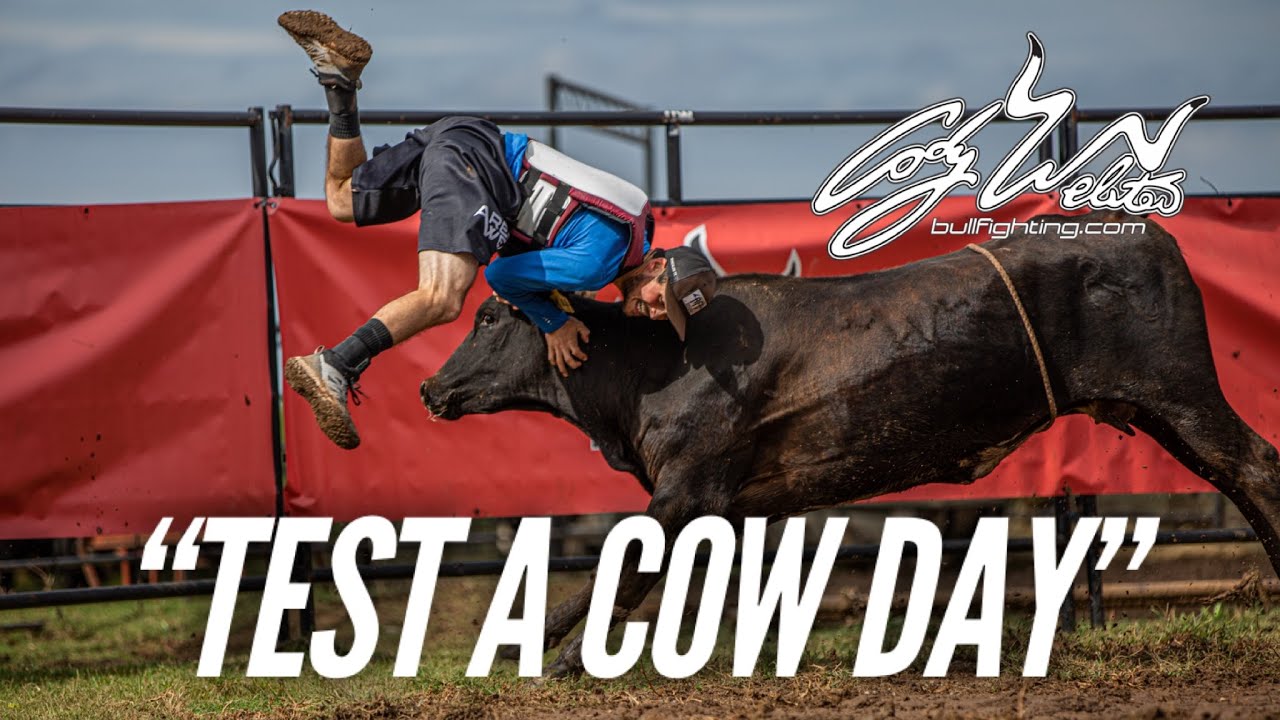 Test A Cow Day” 23 Edition - Behind the Chutes #65 - YouTube