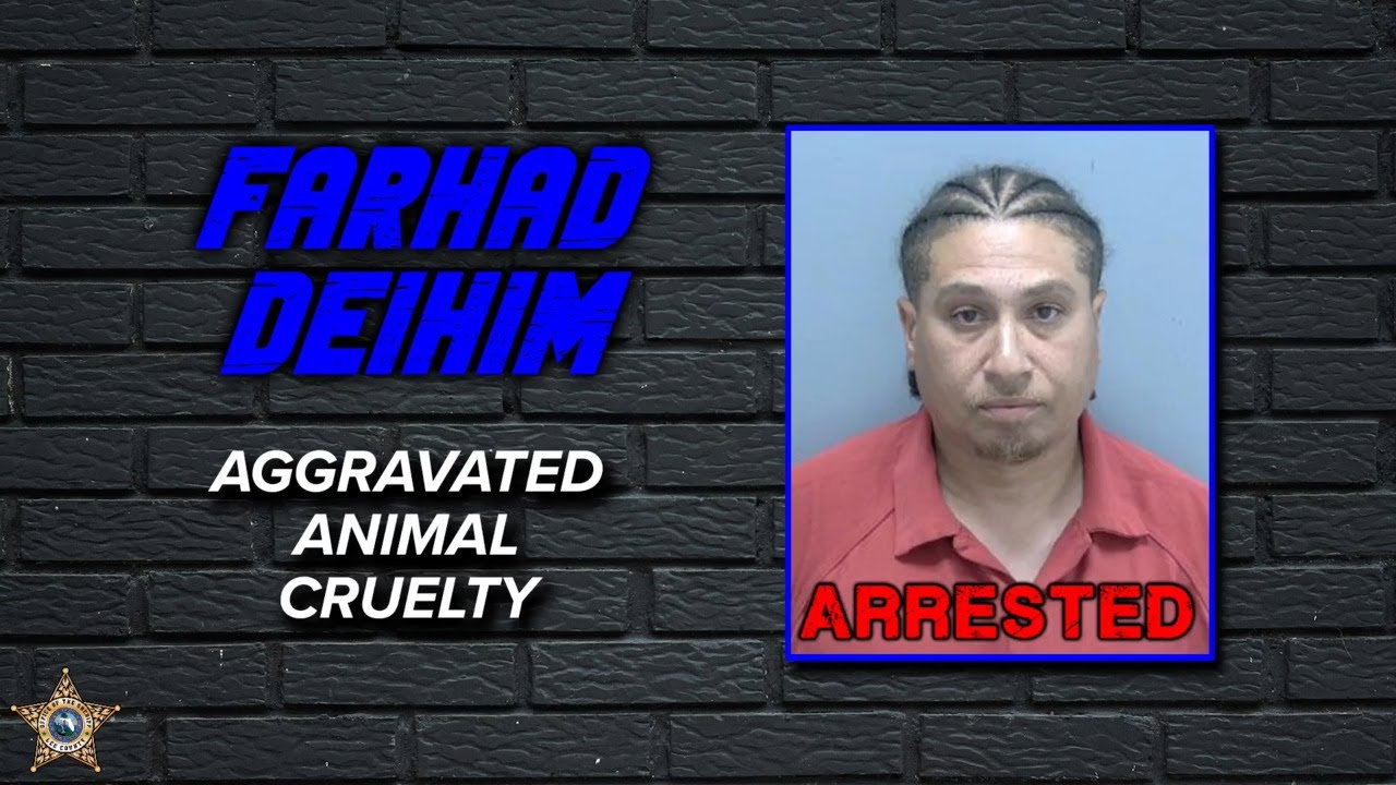 Man arrested for aggravated animal-related shooting - YouTube