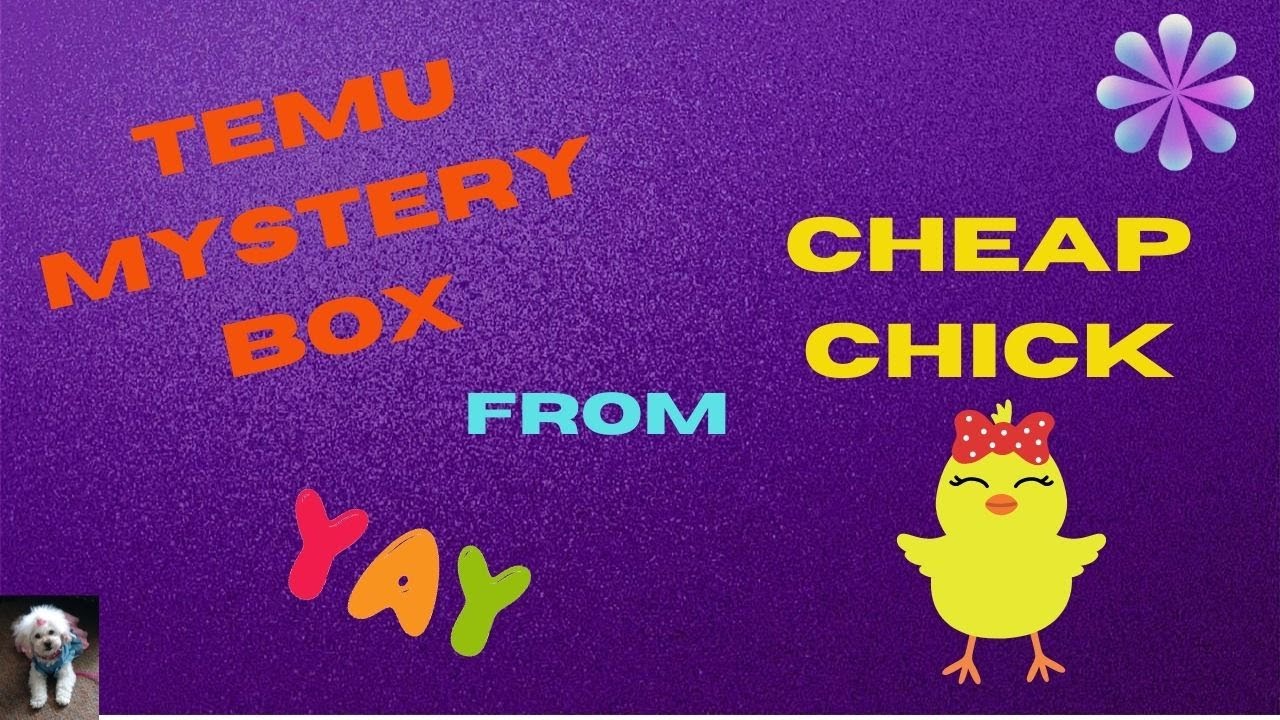 Temu Mystery boxFrom Melissa The Cheap Chick - YouTube