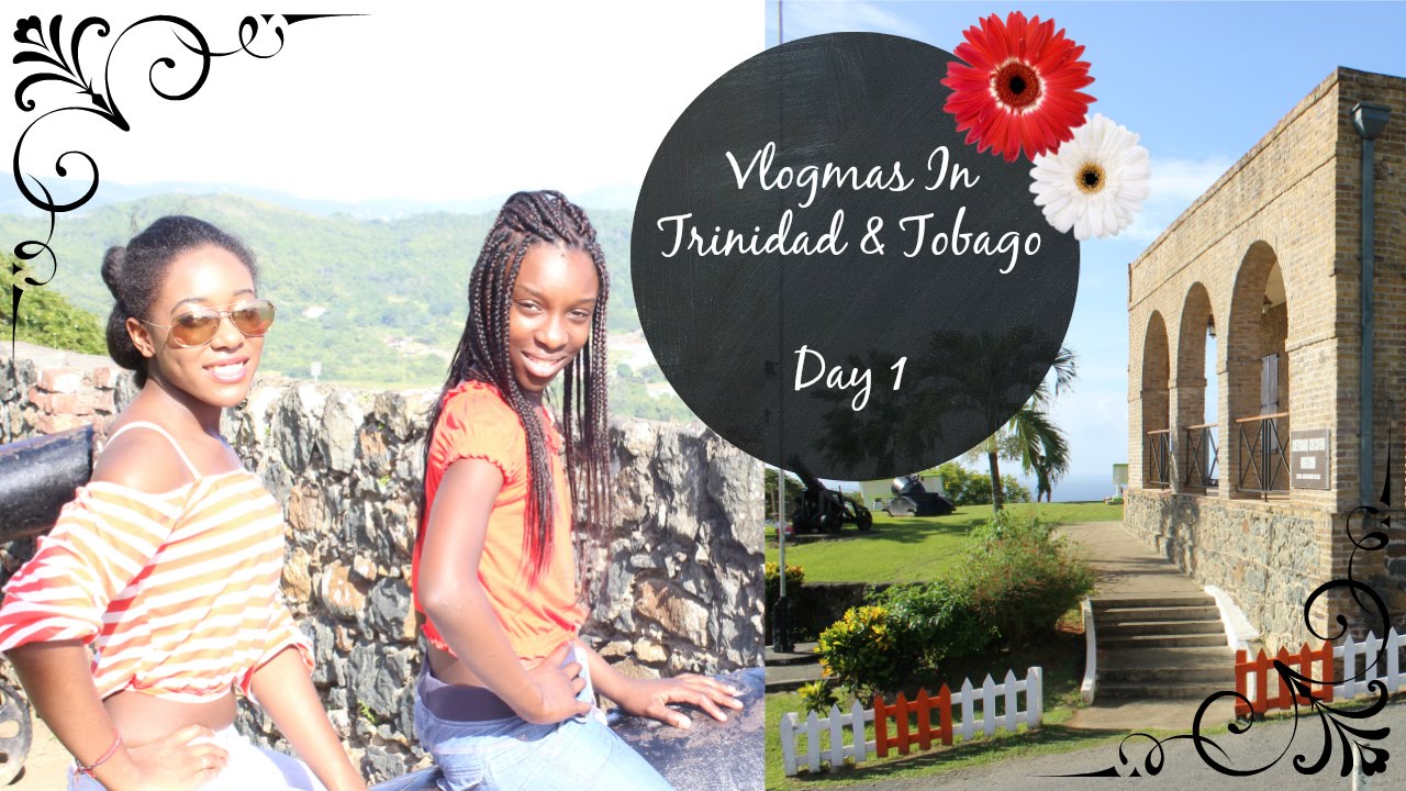 Vlogmas In Trinidad & Tobago - Day 1 - Dogs & Weave - YouTube