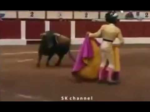 Bull Flips on His Back - YouTube