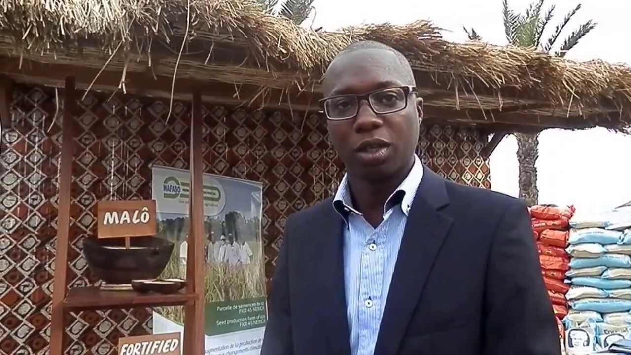 April Ryan Visits Senegal Part 3 - YouTube