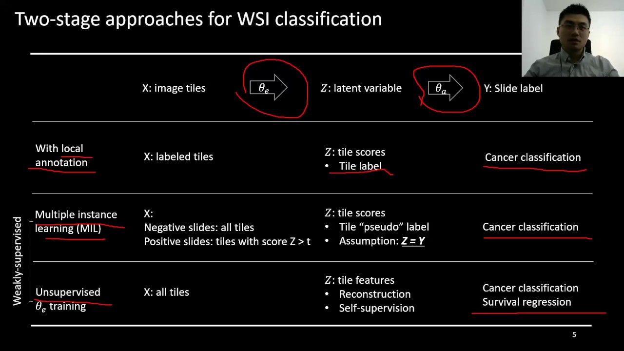 MIDL 2020, O305, Xie et al. Oral presentation - YouTube