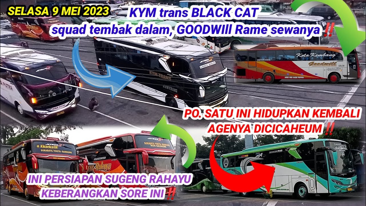 #196 po. satu ini hidupkan agennya kembali, persiapan sugeng rahayu ...