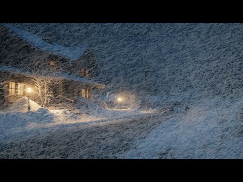 Wind and Snowstorm Sounds for Deep Sleep | Howling Wind and Falling Snow | Winter Storm and Icy Air