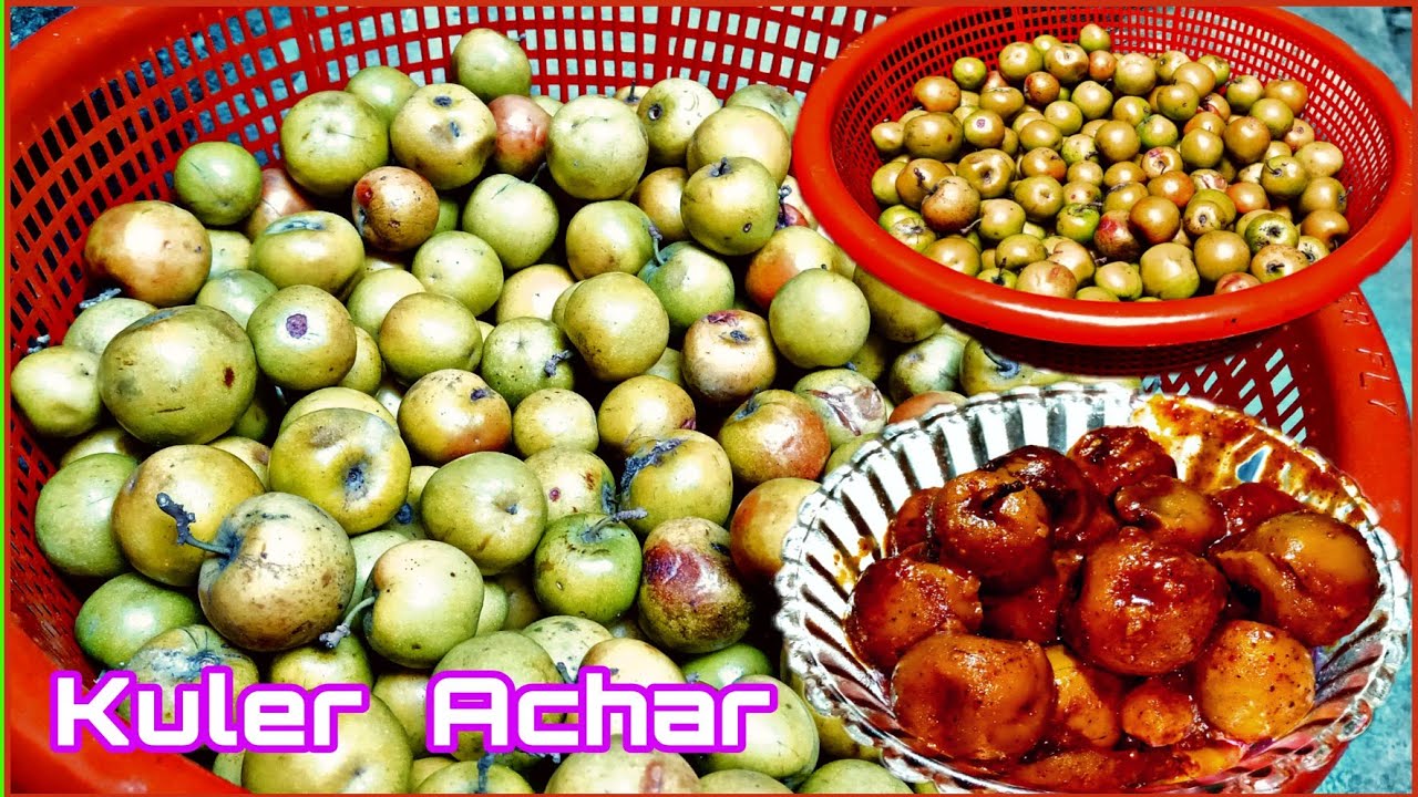 Kuler Achar Recipe In India Style | Bengali Pickle Recipe | Kuler Achar ...