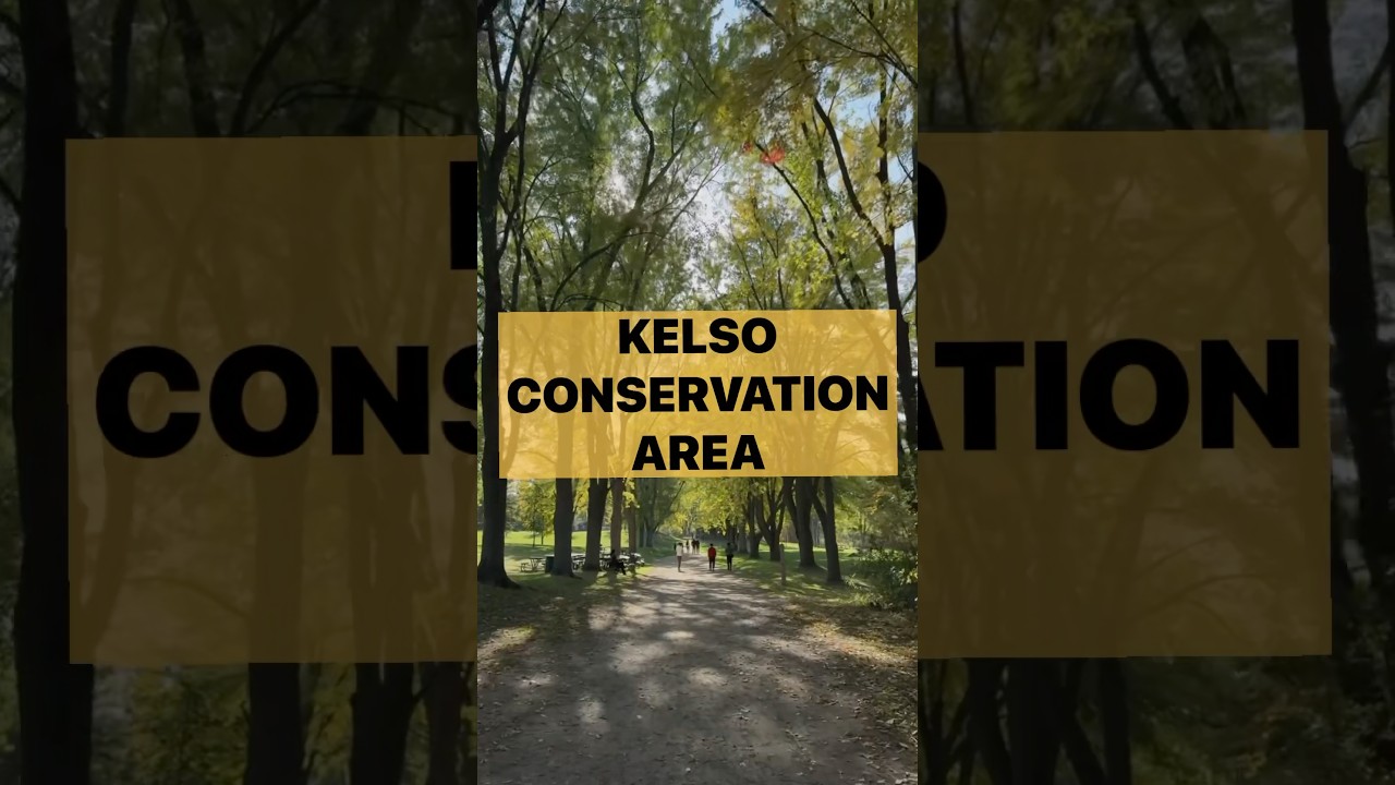 A day at Kelso Conservation Area 🍁 | Fall Colors in Milton, Ontario # ...