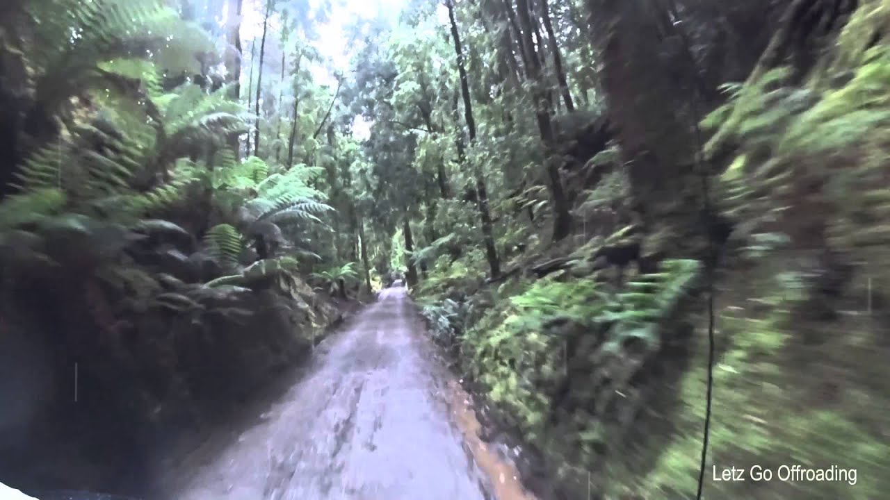Tasmania 4wd Adventure: Darwin Dam To Bird River - YouTube