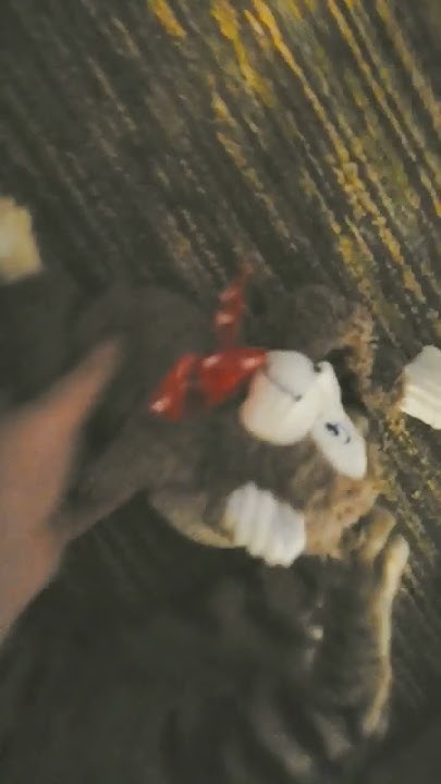 my cat playing with his toy - YouTube