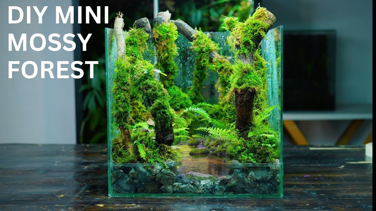 i made a mossy forest with a flowing stream | here's how! - YouTube
