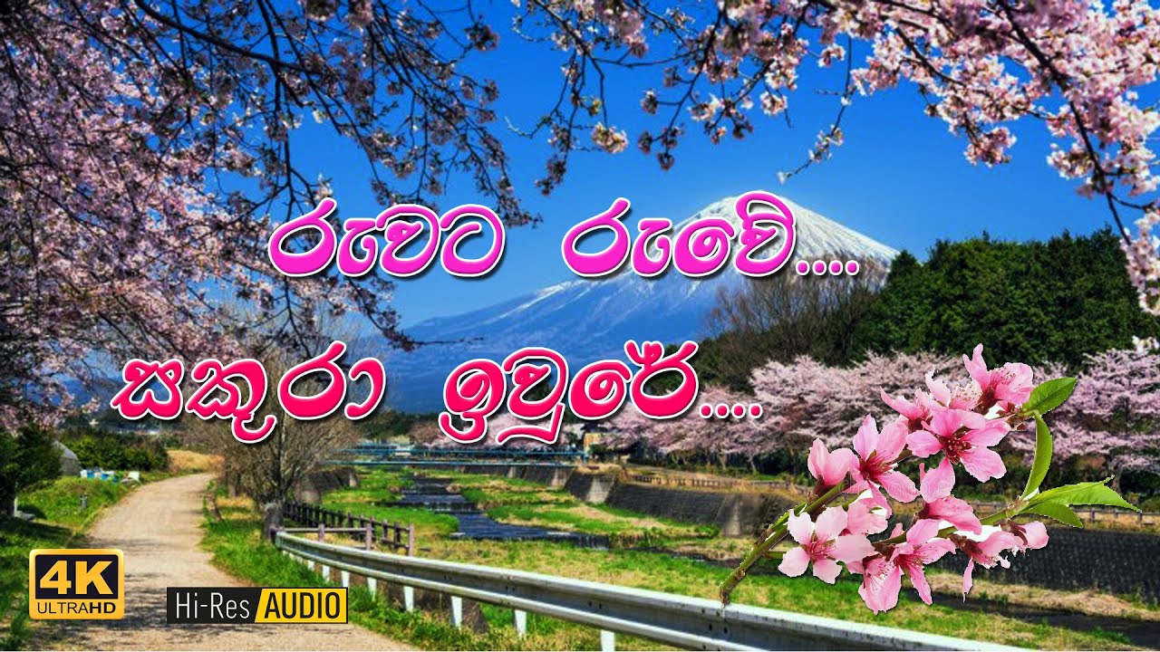 Ruwata Ruwe ... Sakura Iwure - රුවට රුවේ... සකුරා ඉවුරේ... - T.M ...