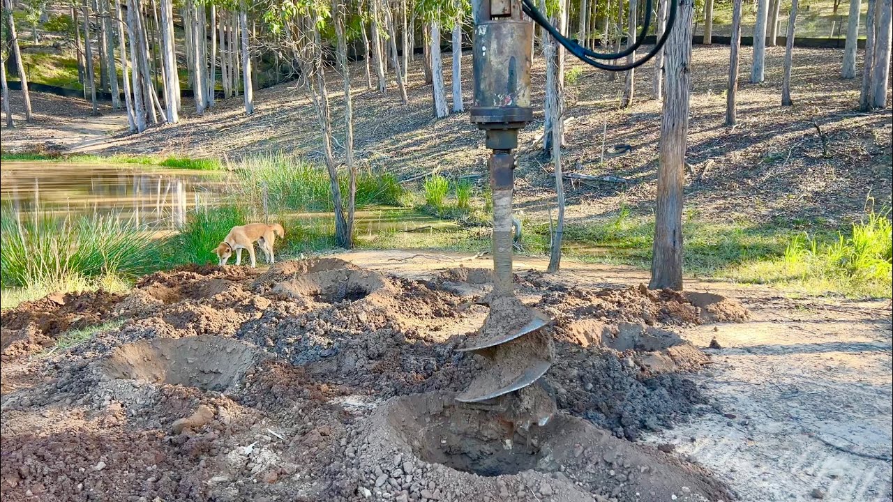 Work Underway in the Dingo Enclosure - YouTube