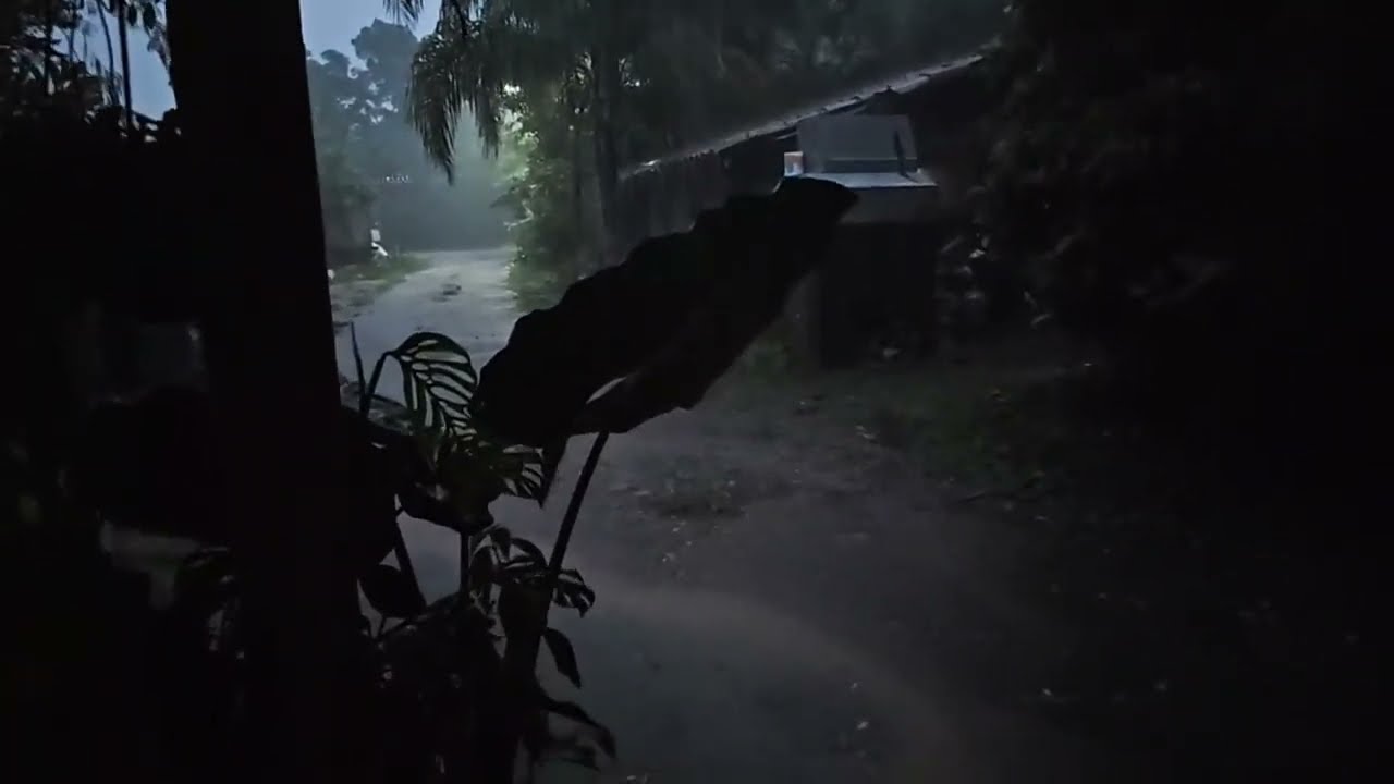 El Indio Pachón de Mazatepec está en vivo - YouTube