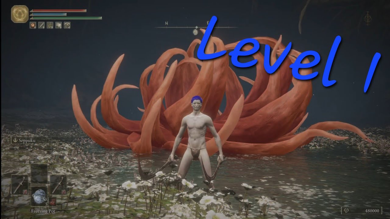 Elden Ring (RL1) - Malenia, Goddess of Rot (no damage / solo / no BHS ...
