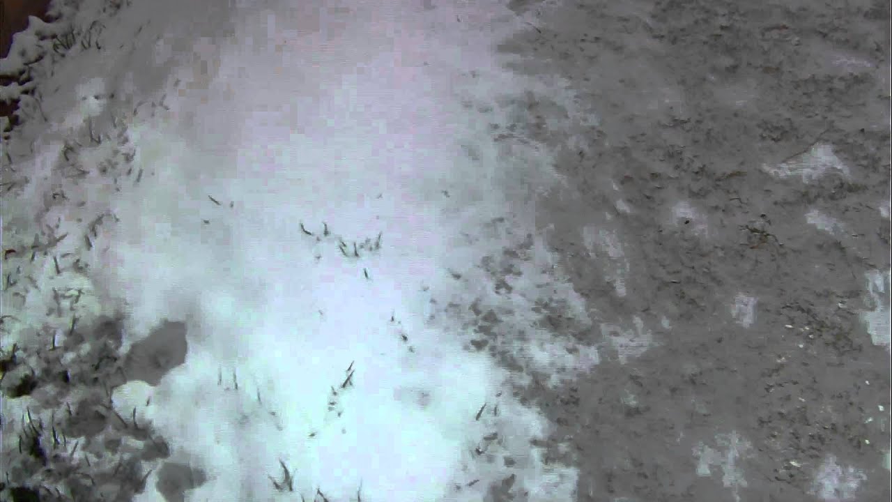 snow.avi - YouTube