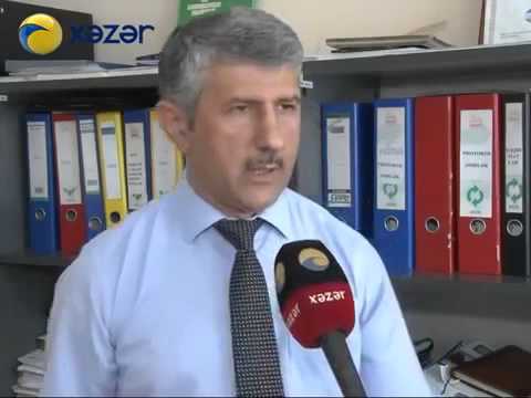 Mühüm dəyişiklik: Mobil telefon nömrələri belə satılacaq