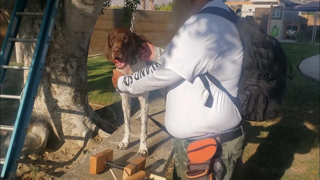 Forced fetch table training - YouTube