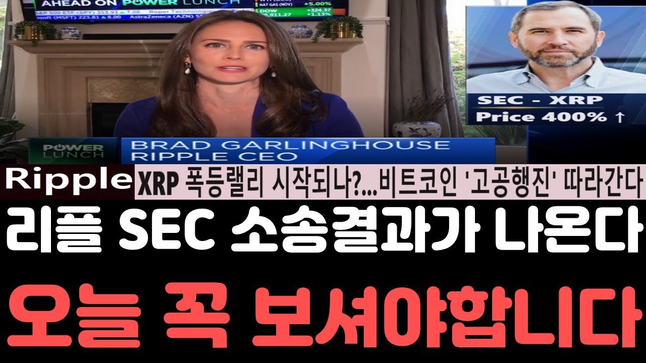 리플전망 리플 Xrp 매도한 개인투자자들 어쩌나 이걸 이제야 공개한다고대박 오늘 영상은 꼭 보셔야합니다 리플전망 리플호재 리플급등 리플코인 리플소송