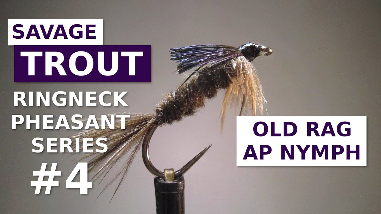 Fly Tying the Old Rag AP Nymph - Ringneck Pheasant Fly Patterns - YouTube