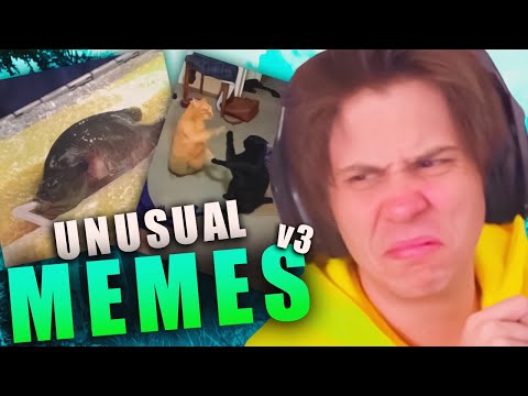 RUBIUS REACCIONA a UNUSUAL MEMES V3# - YouTube