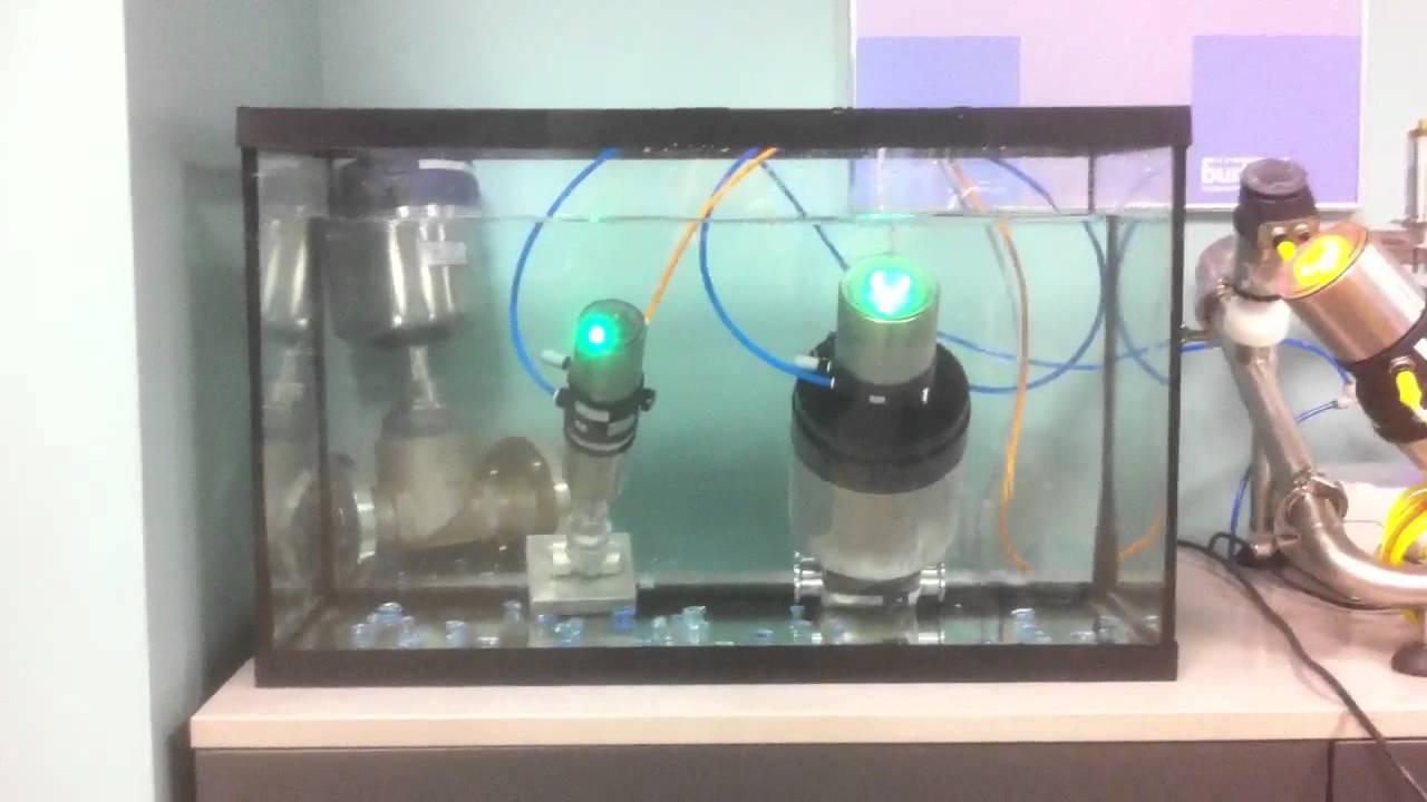 Burkert 8801 fish tank test #2 - YouTube