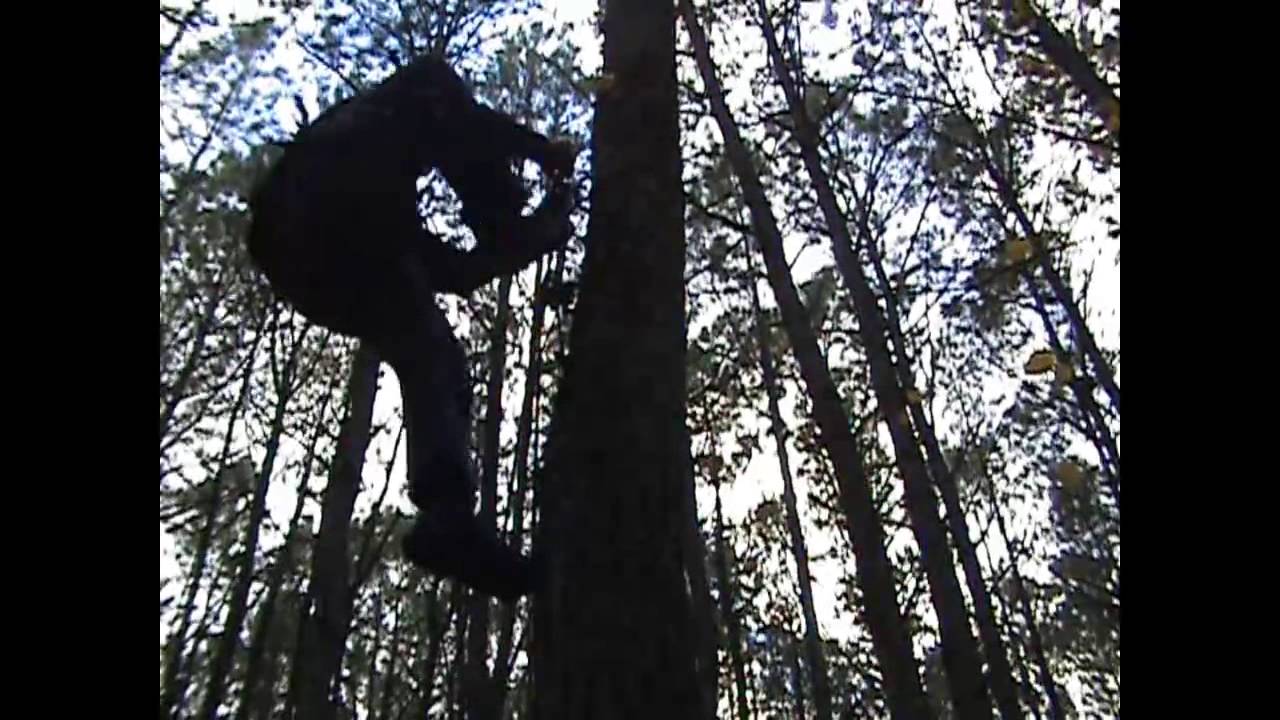 Muddy Stick Rope Climb.MP4 - YouTube