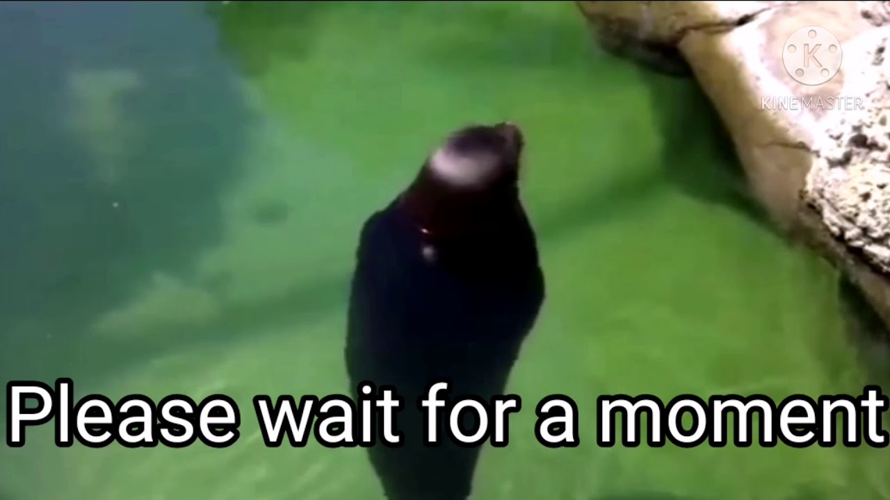Please wait for a moment... - YouTube