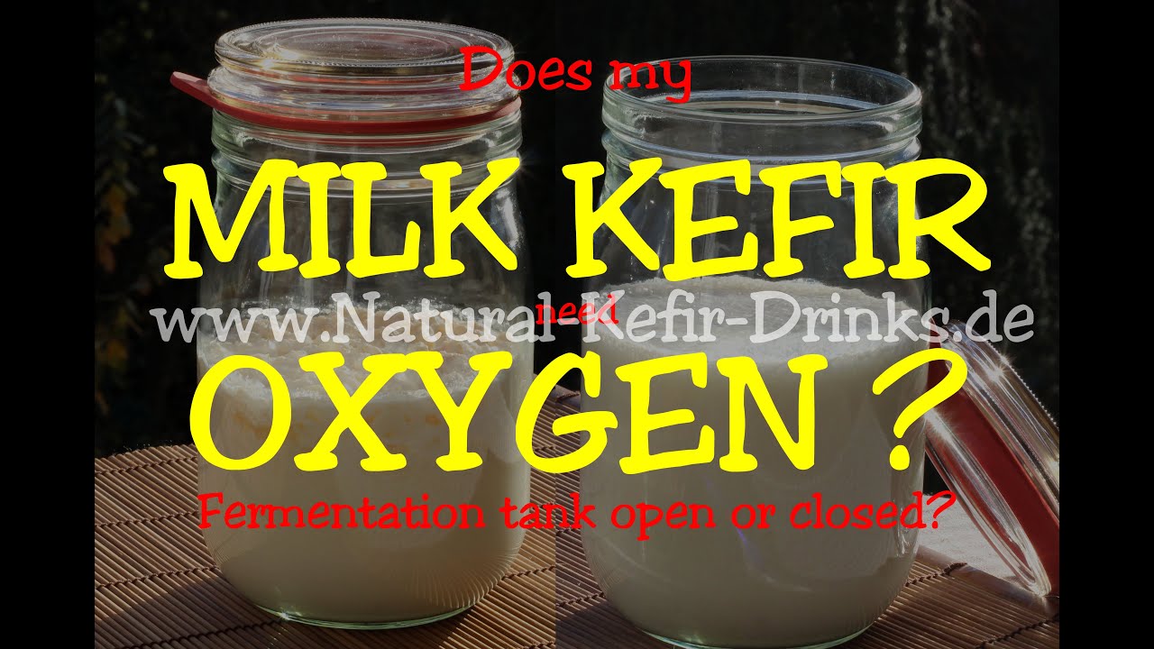 Does the milk kefir grains need air (oxygen) to breath? Fermentation ...