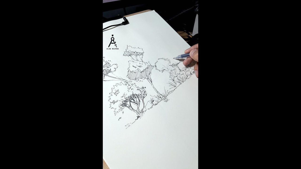 How to Draw Trees Easy Tree Drawing with pen #001 - YouTube