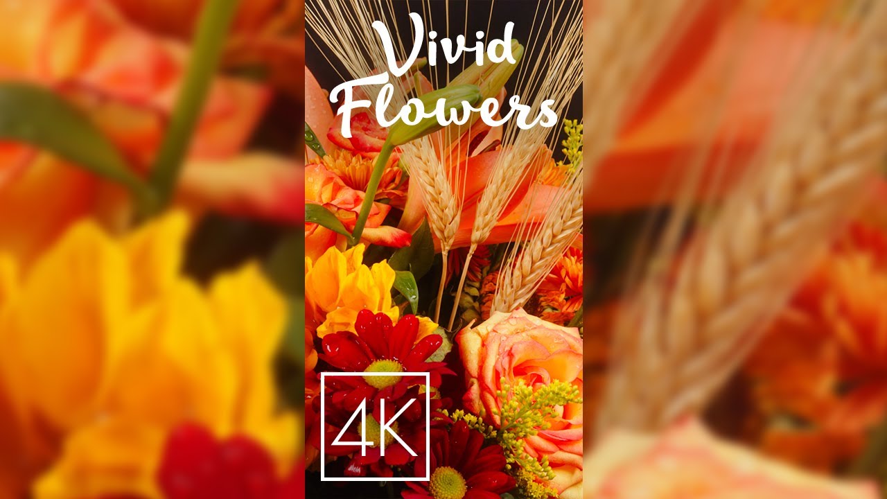 Vivid Flowers & Gentle Piano Music - Colorful Flower Screensaver for ...