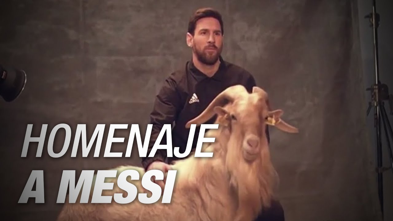 ¡APARECIERON LAS CABRAS DE LEO MESSI EN PARIS! - YouTube