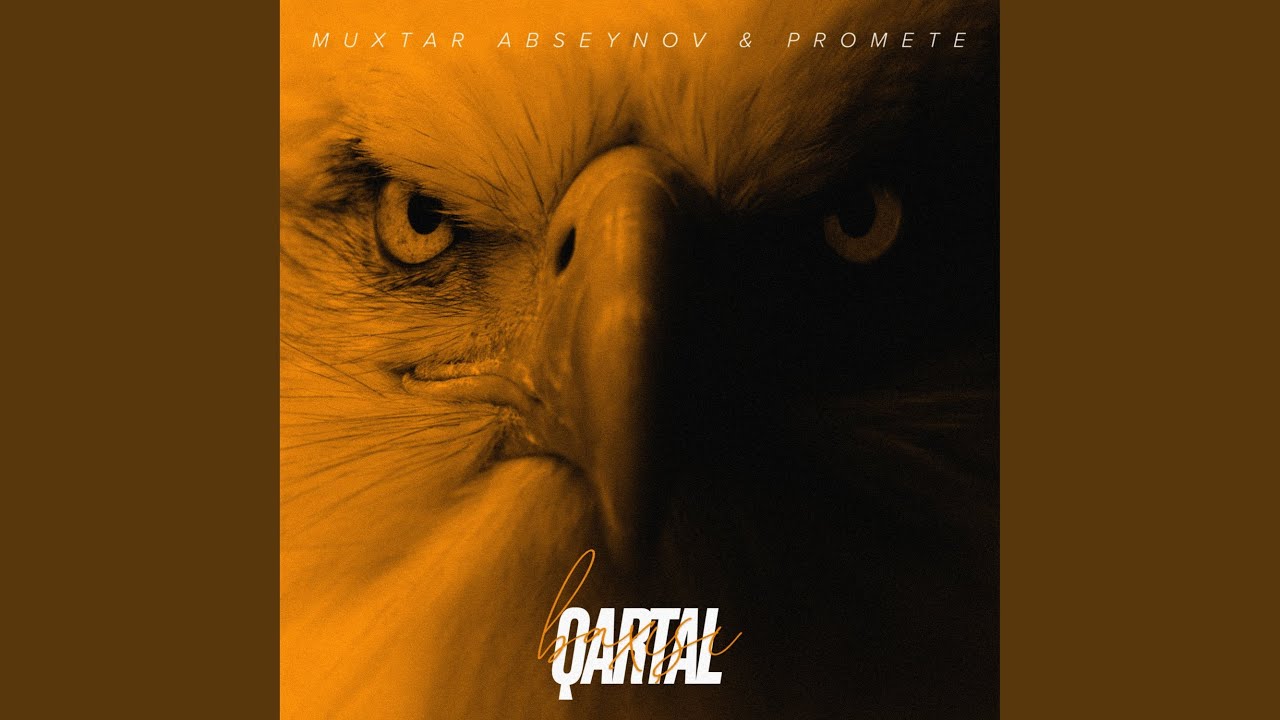 Qartal Baxışı - YouTube Music