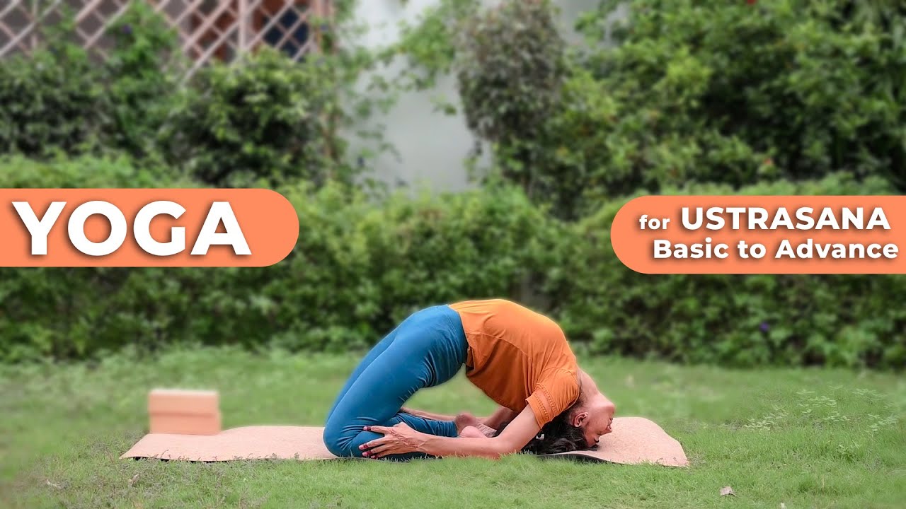 Learn to Perform Ustrasana Basic to Advance | Camel Pose Step by Step ...