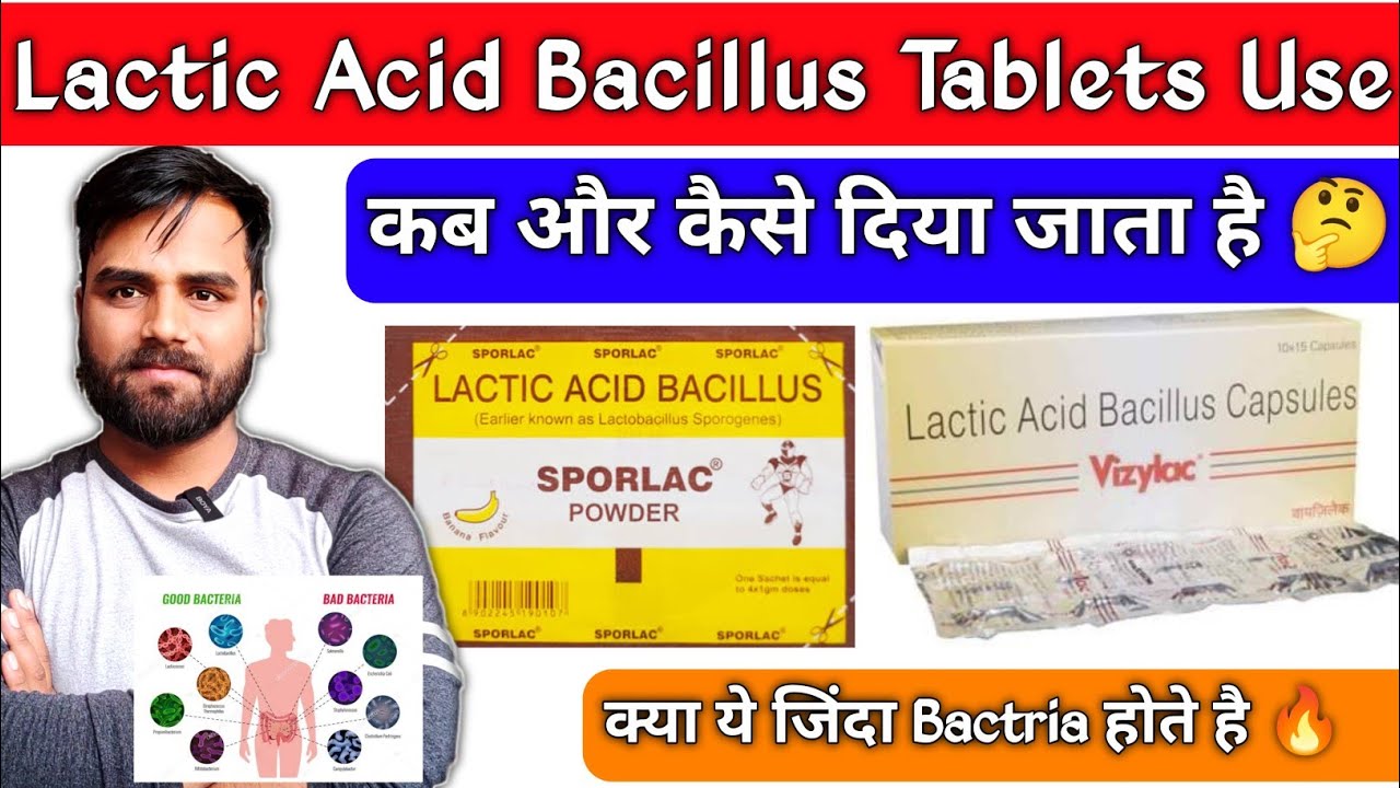 lactic acid bacillus tablets use | lactic acid bacillus powder | lactic ...