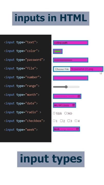 All Input Types In Html Css Coding Webdevelopment Html Youtube