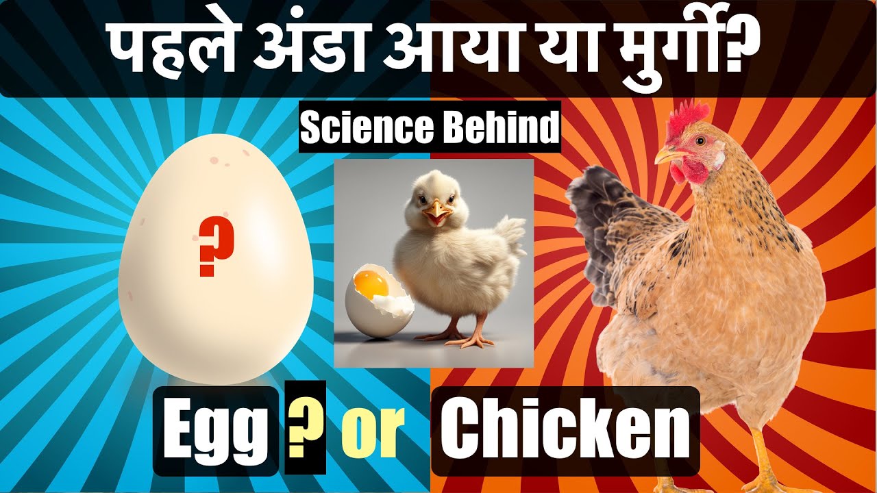 Chicken or Egg: What came first? | पहले अंडा आया या मुर्गी? | Evolution ...