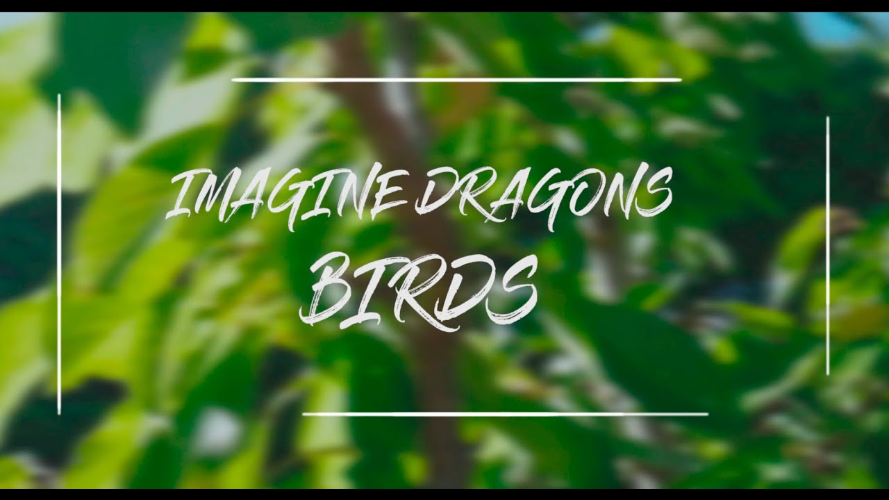 Birds - Imagine Dragons | Cover - YouTube