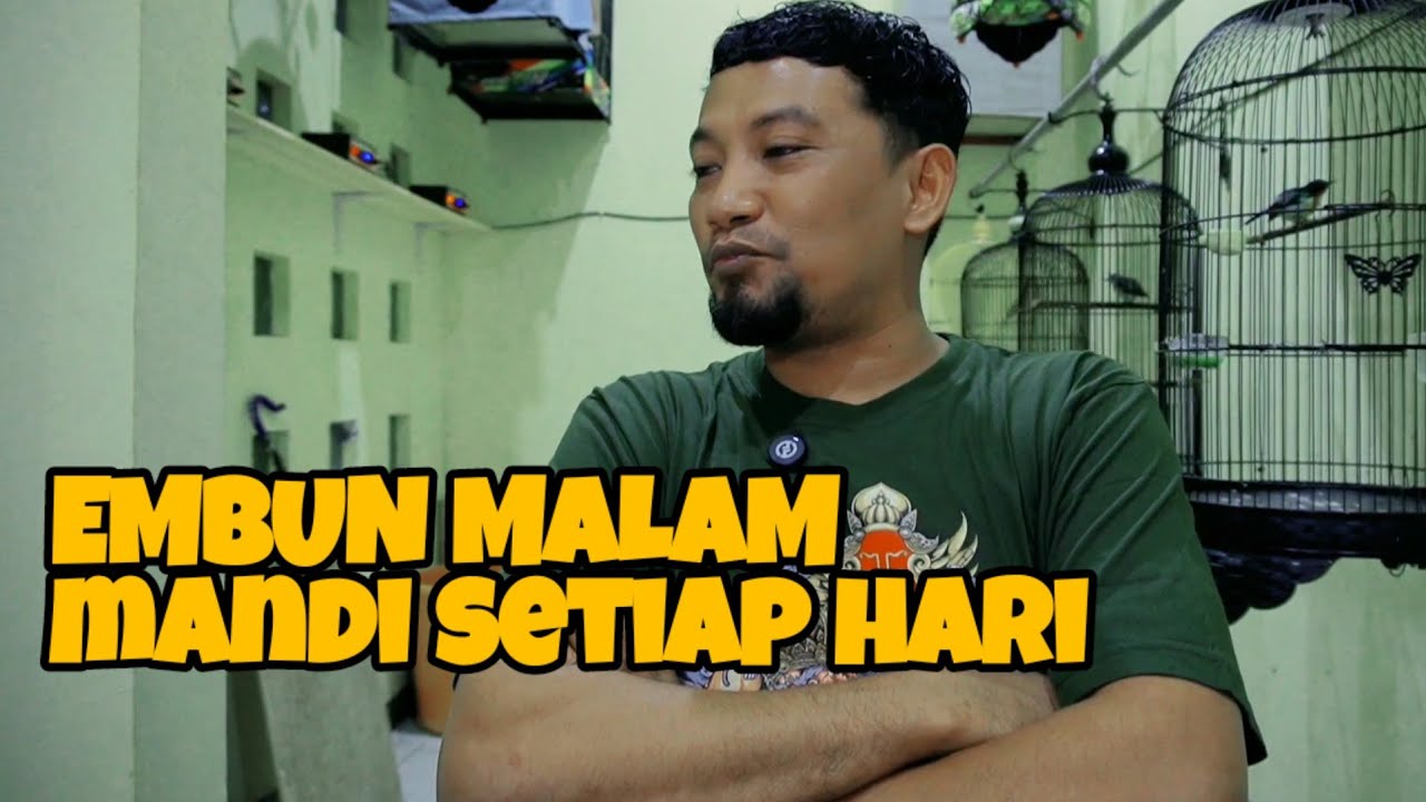 EMBUN MALAM DAN MANDI SETIAP HARI BISA JADI SOLUSI - YouTube