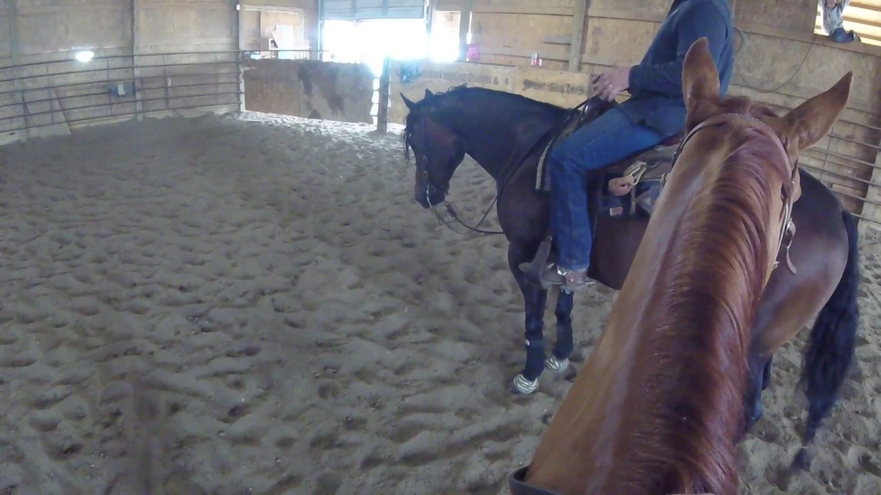 Dallas Cunningham Professional Reining Horse Trainer, Lead Change ...