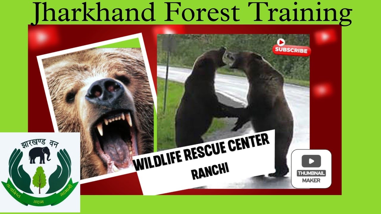 Jharkhand Forest Training Tour To Wild Life Rescue Center Ranchi. - YouTube
