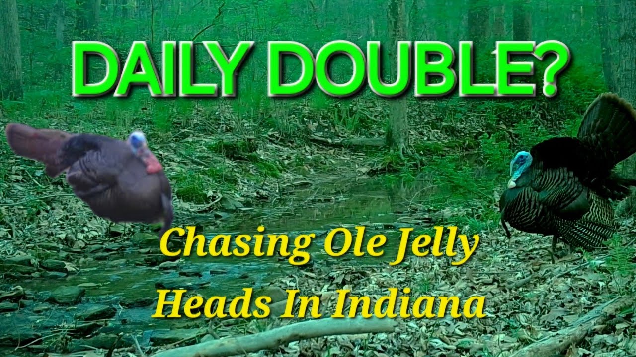 DAILY DOUBLE? Chasing Thunder Chickens In The Hoosier State - YouTube