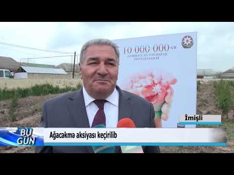 20 04 2019 İmisli agacekme