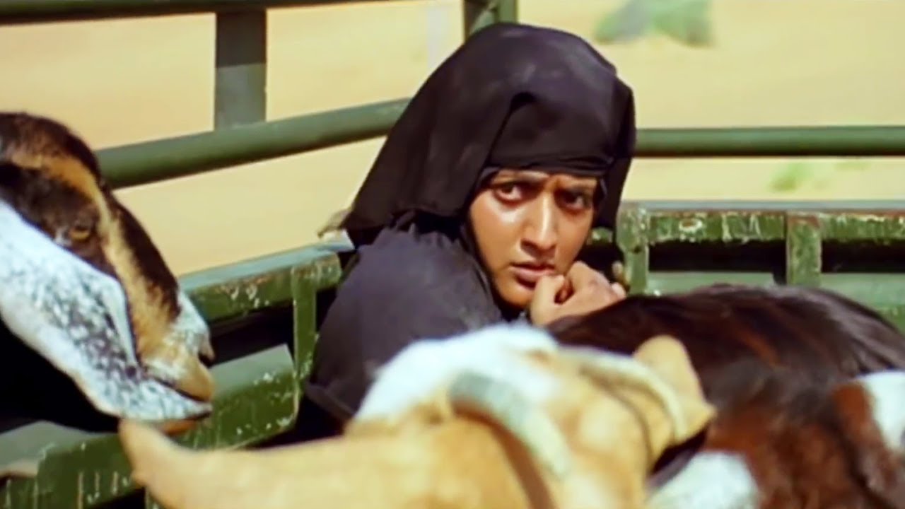 വണ്ടി നിർത്ത്...എങ്ങോട്ടേക്കാ ഈ പോകുന്നത് | Khaddama Movie Scenes ...