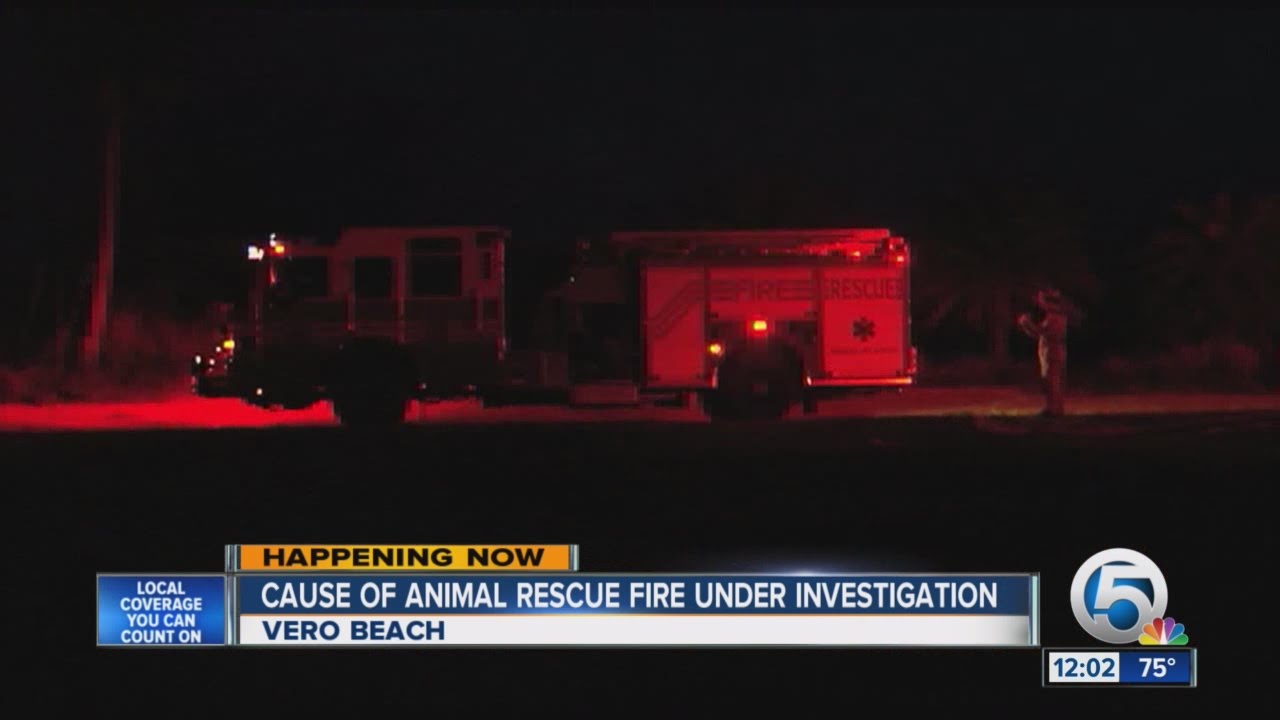 Cause of animal rescue fire under investigation - YouTube