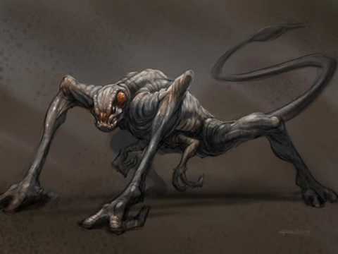 The real clover field monster (and somthing more...) - YouTube