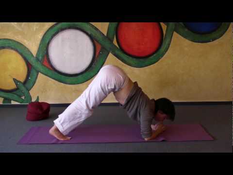 Dolphin - preparing Yoga headstand by strengthening your arms and ...