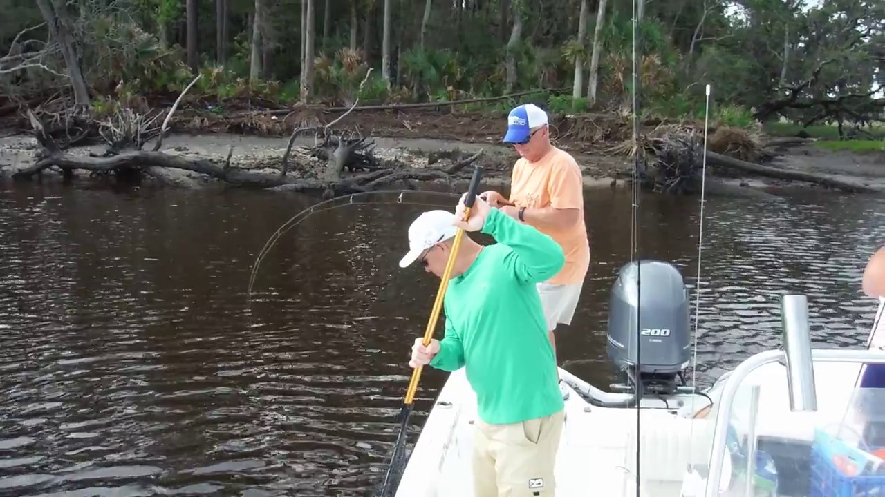 Monster Redfish Caught on Light Tackle - YouTube