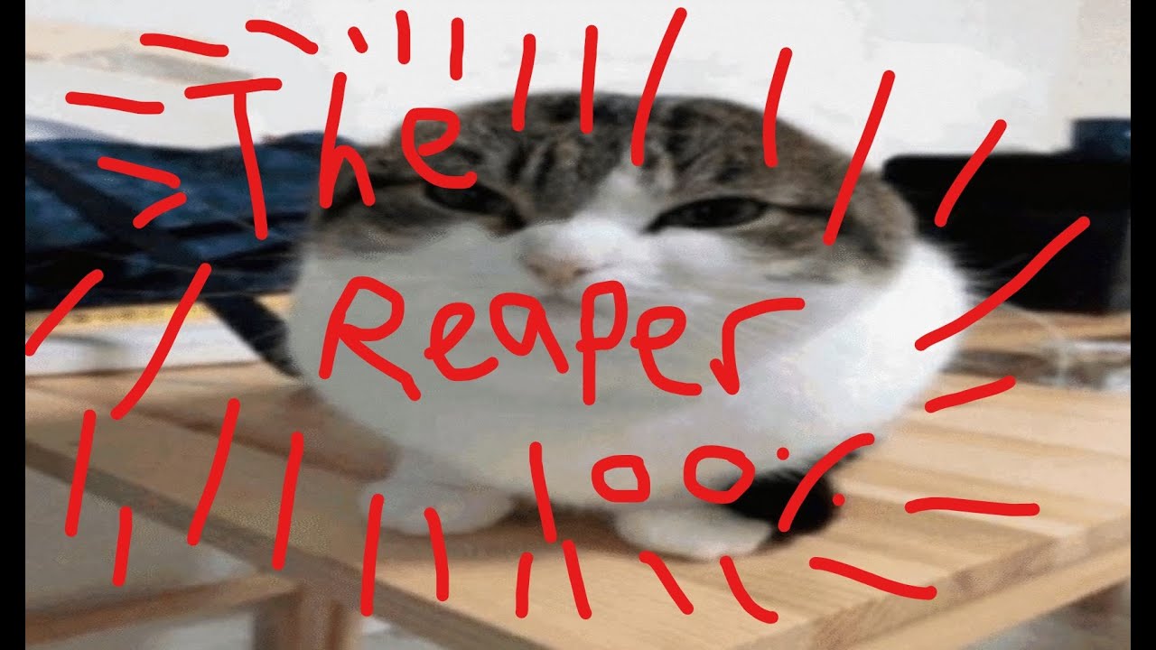 The Reaper 100% (Fluke from 43) - YouTube