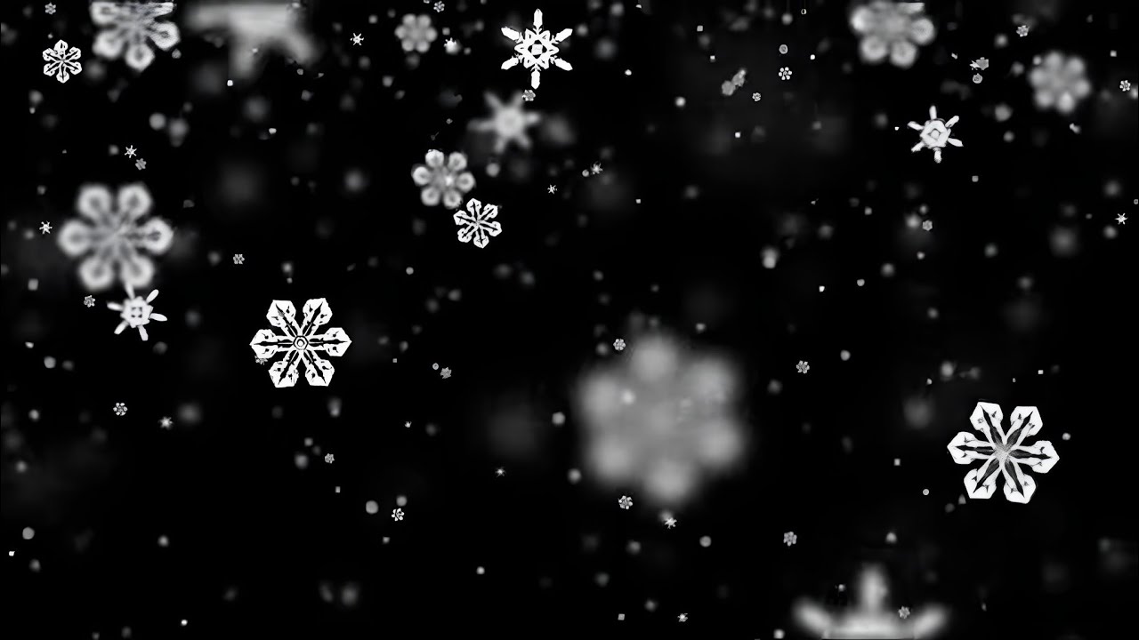 Snowflakes falling black screen video | Snow black screen effect - YouTube