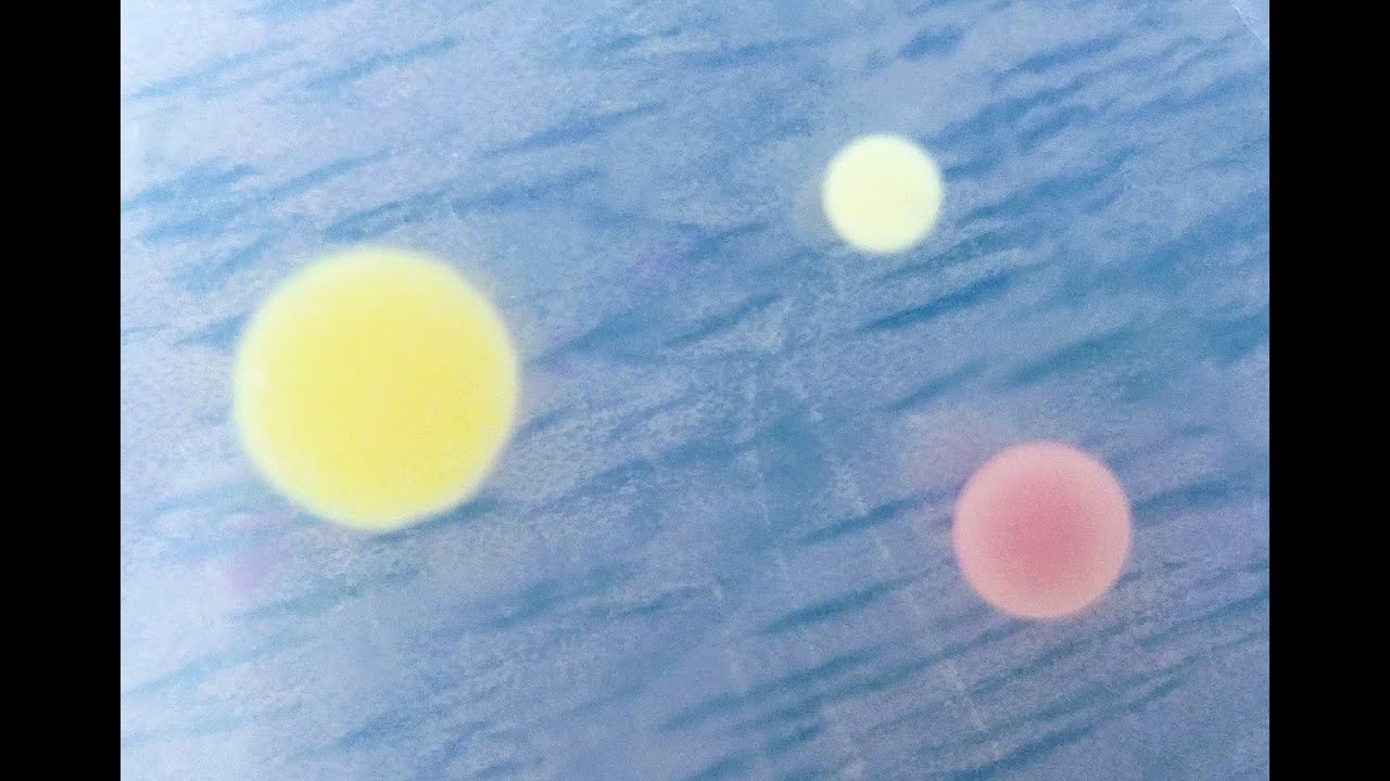 Microbial Zoo Results - YouTube